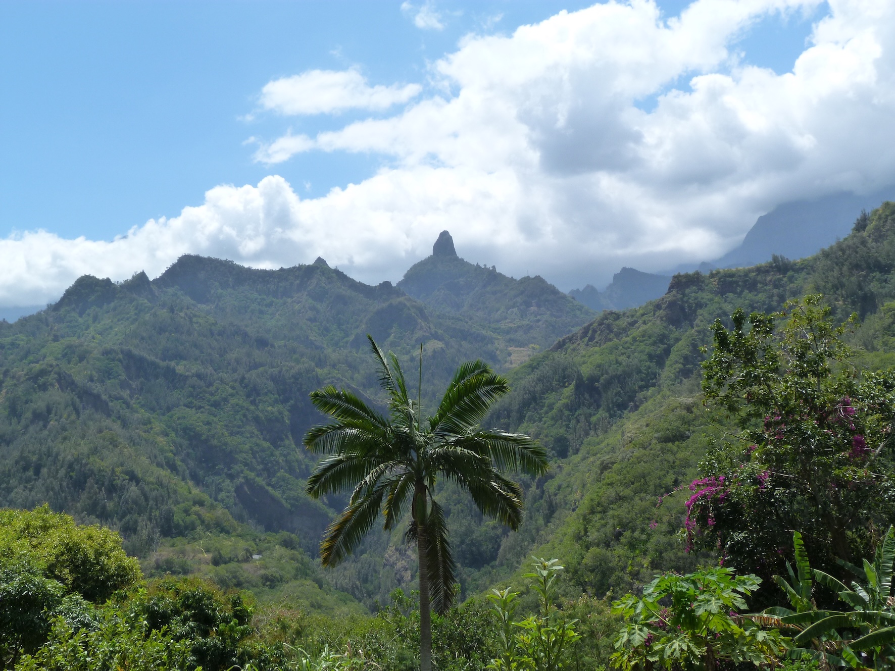 Fünf Jahrzehnte Fernweh: Tischler Reisen verbindet die Welt und schafft ...